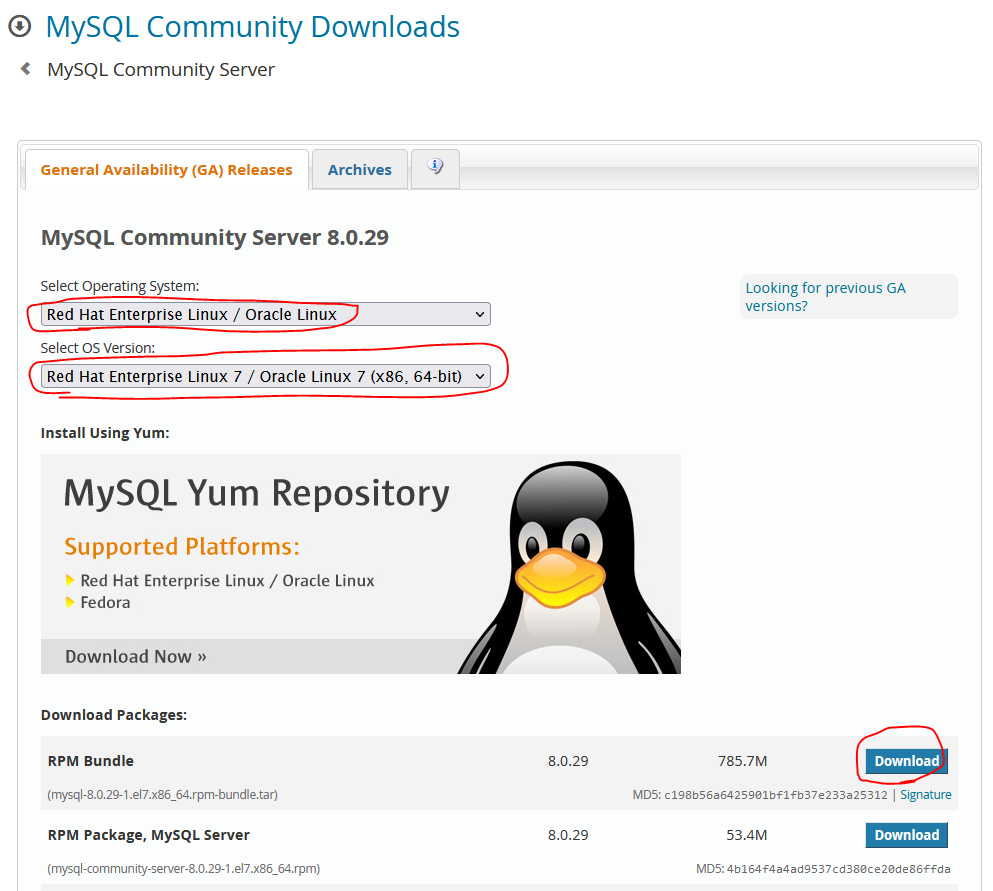 MySQL8.0をローカルからインストールする方法 | 森林開発24時